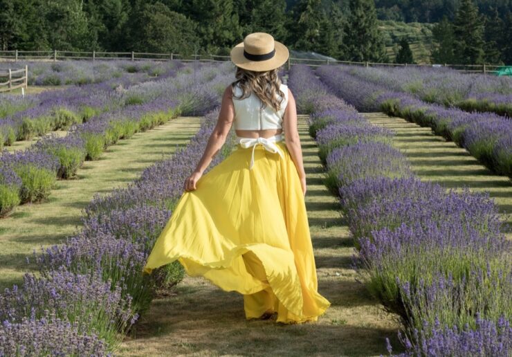 Exploring Lavender Farms In 2023 ─ A Guide to Visiting and Experiencing ...